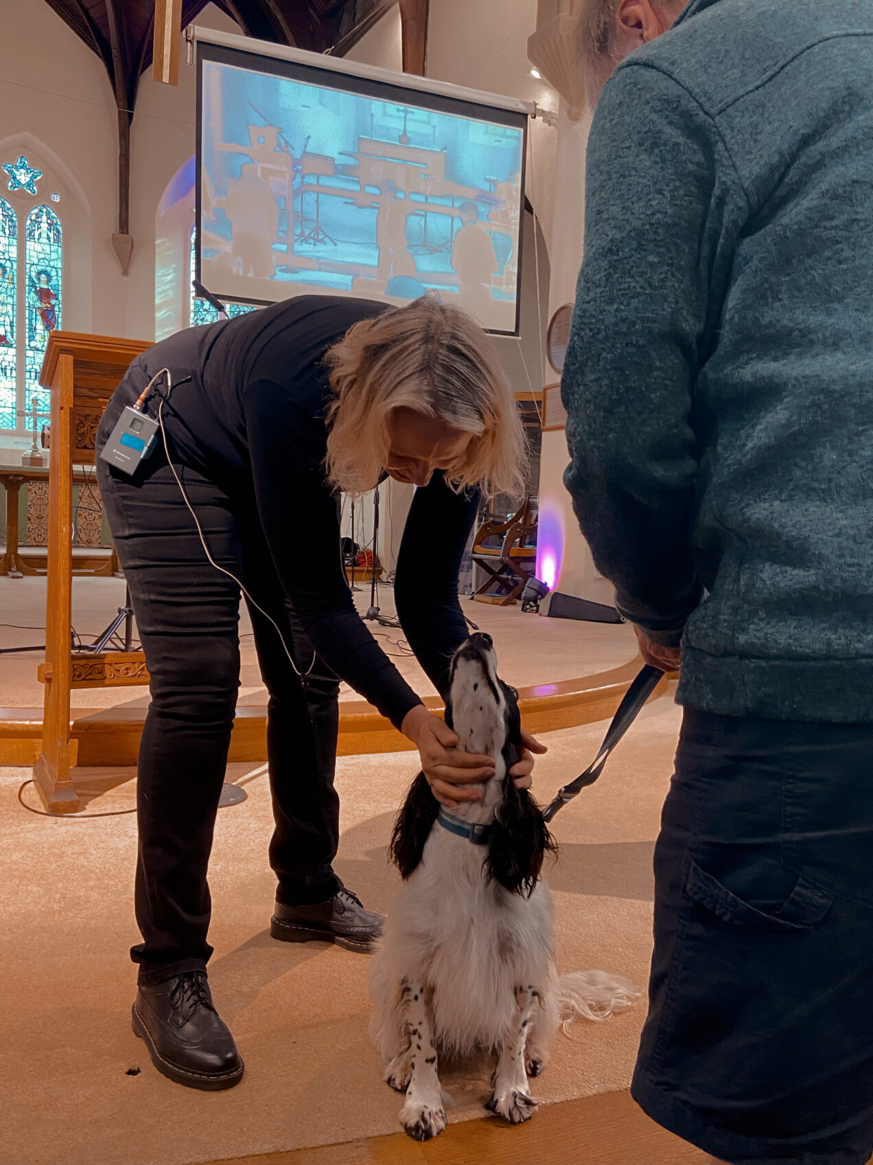 All Creatures Great and Small - Pet Services Around the Diocese ...