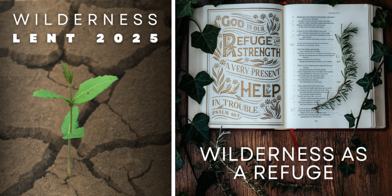 Lenten Reflection: Wilderness as a Refuge - Diocese of Winchester
