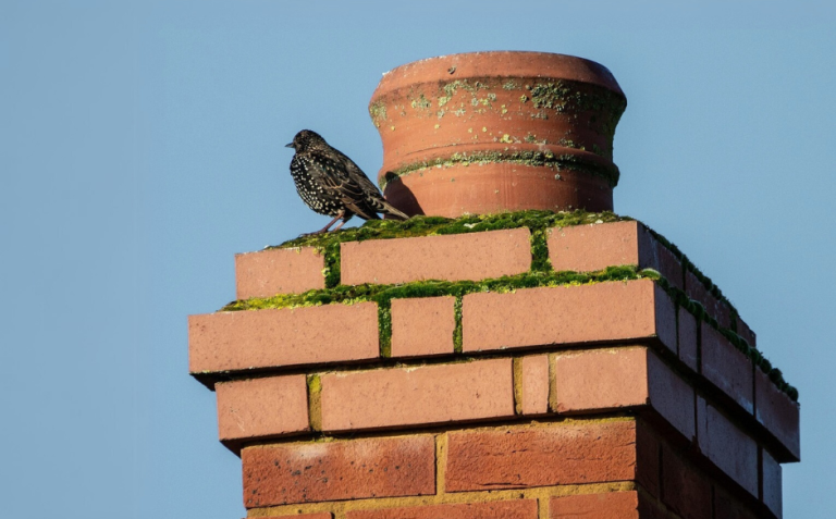 Unused Chimneys to be Capped % - Diocese of Winchester