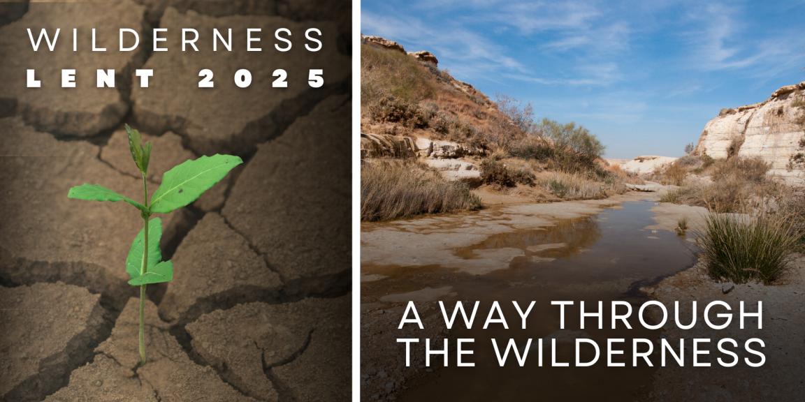 Lenten Reflection: A Way Through the Wilderness - Diocese of Winchester
