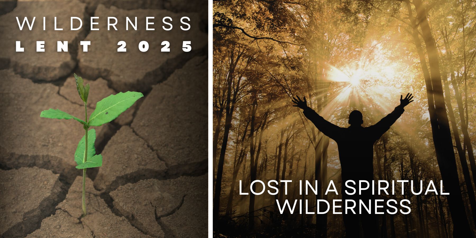 Lenten Reflection: Lost in a Spiritual Wilderness - Diocese of Winchester